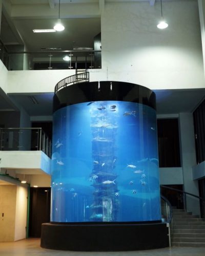 Aquarium Silinder "Schooling Fish" - Aquarium Indonesia Pangandaran